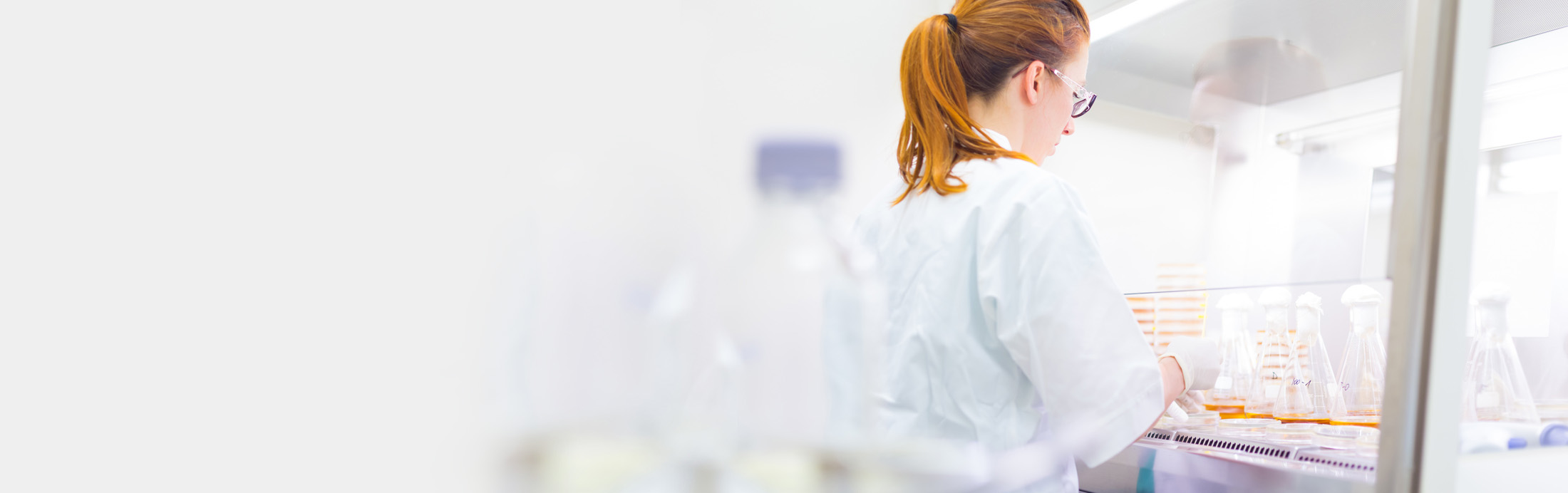 Service für Sicherheitswerkbänke | Labexchange Service GmbH